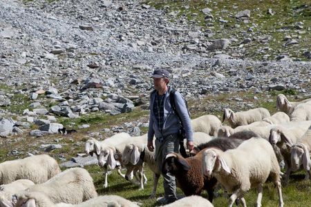 Saaser Mutten als Kulturgut - Accordeos d