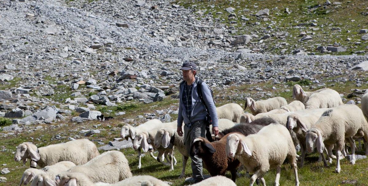 Saaser Mutten als Kulturgut - Accordeos d